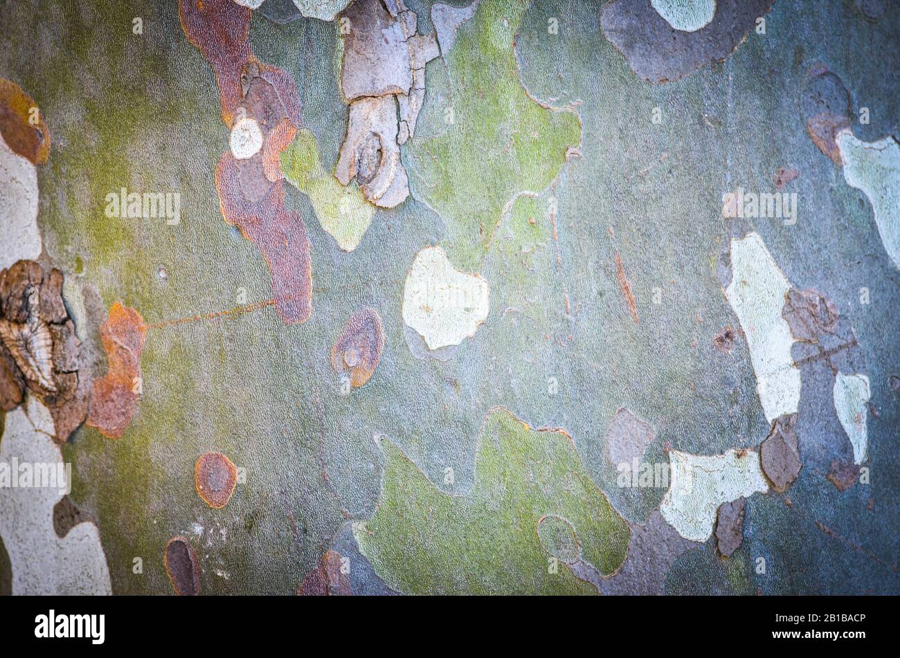 abstract wall design on the historical streets of spanish cities Stock ...
