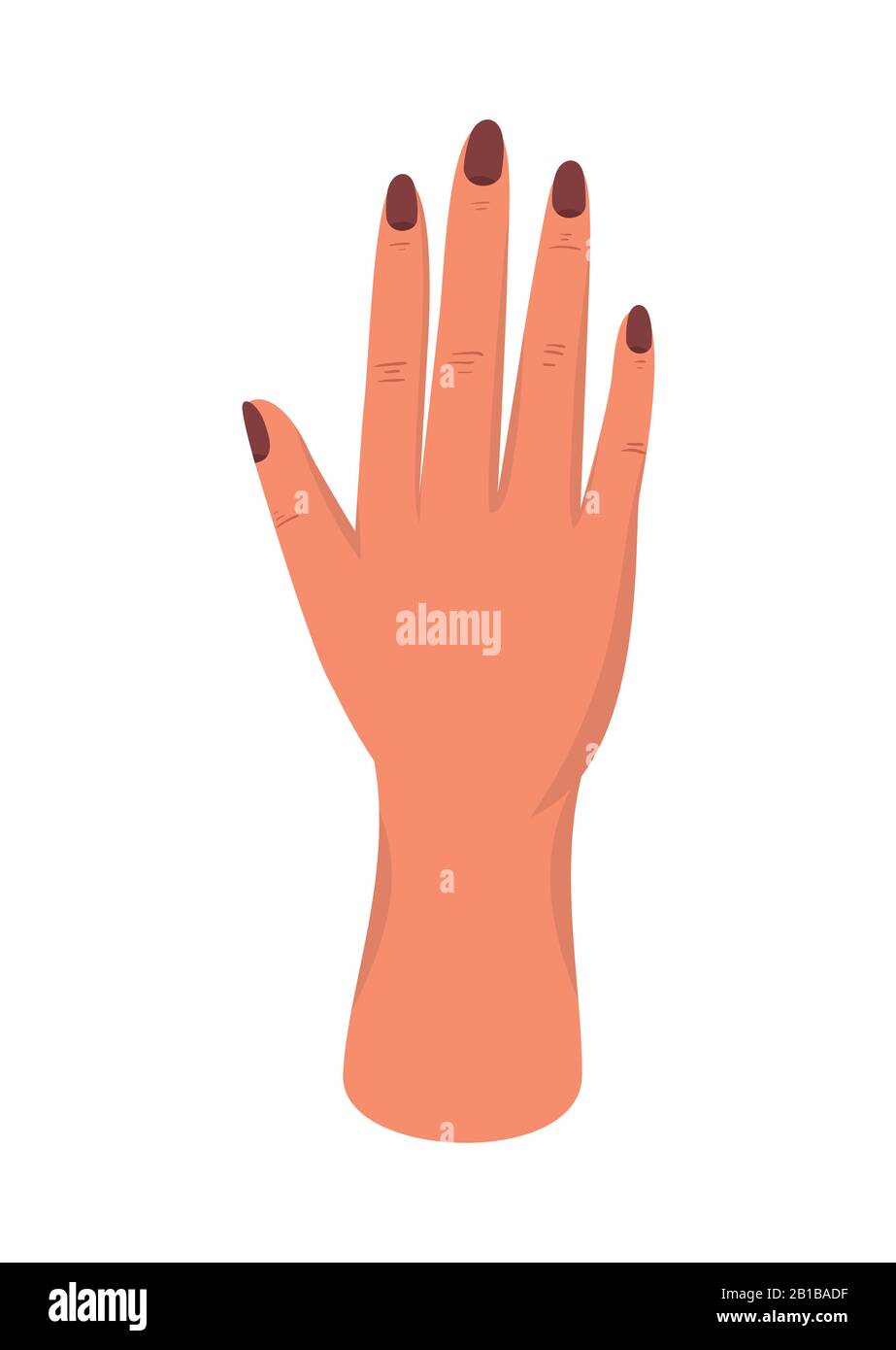 Isolated female hand vector design Stock Vector Image & Art - Alamy