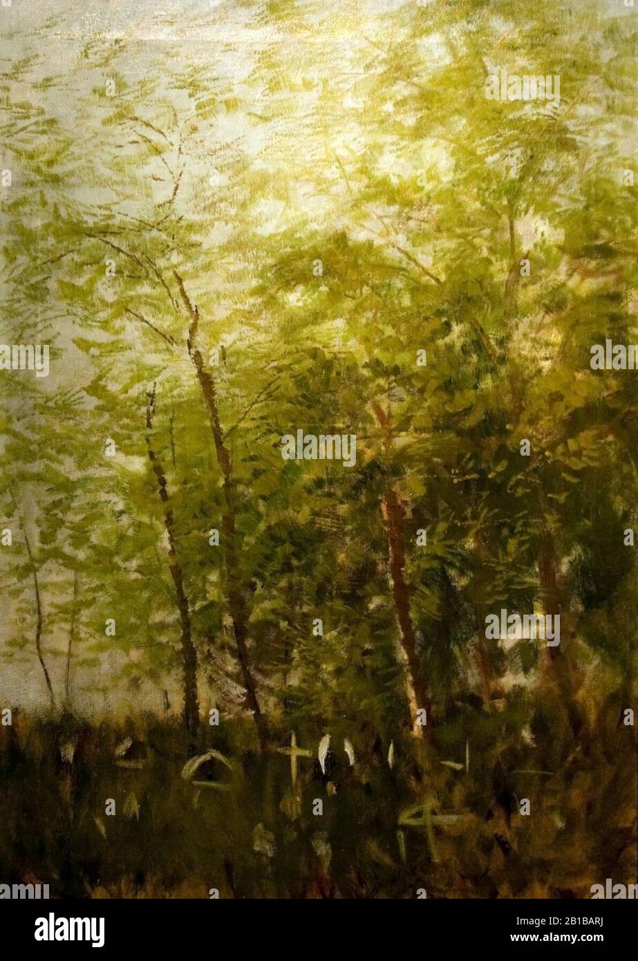 Fringe of Forest with Crosses Stock Photo - Alamy