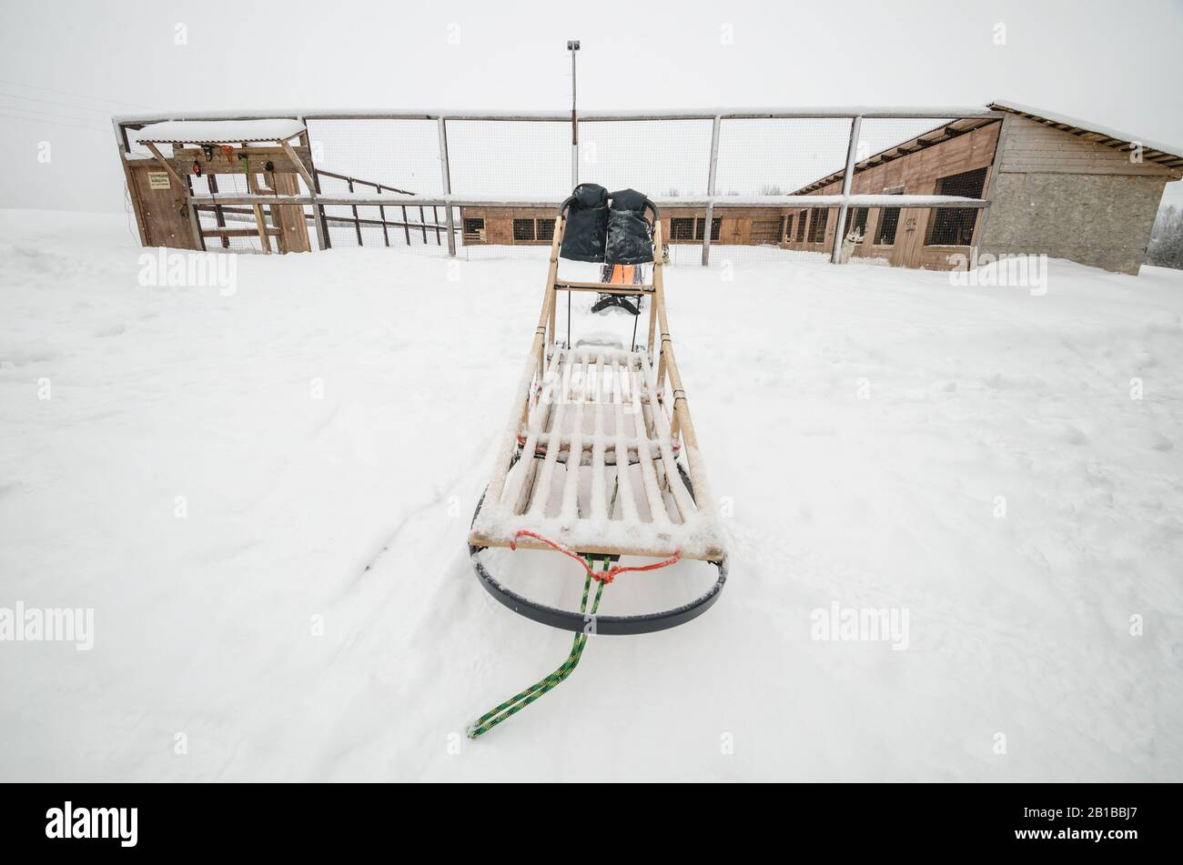 Race of sleds hi-res stock photography and images - Alamy