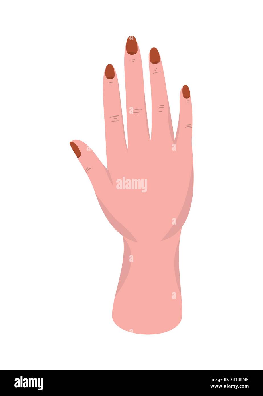 Isolated female hand vector design Stock Vector Image & Art - Alamy