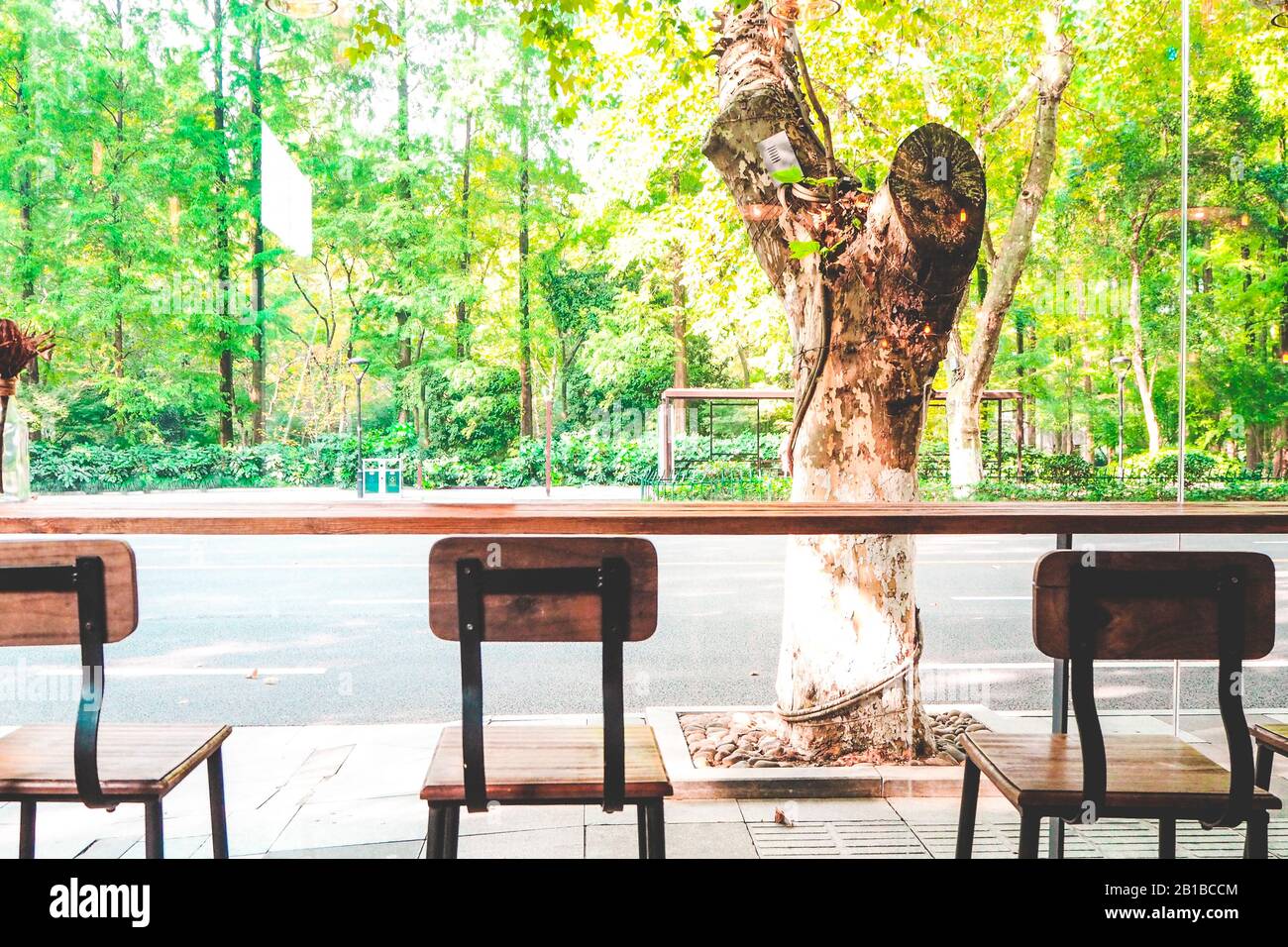 Garden Park outdoor outside home through big window glass background ...