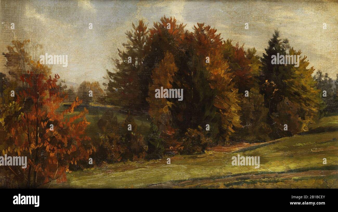 Baumlandschaft hi-res stock photography and images - Alamy