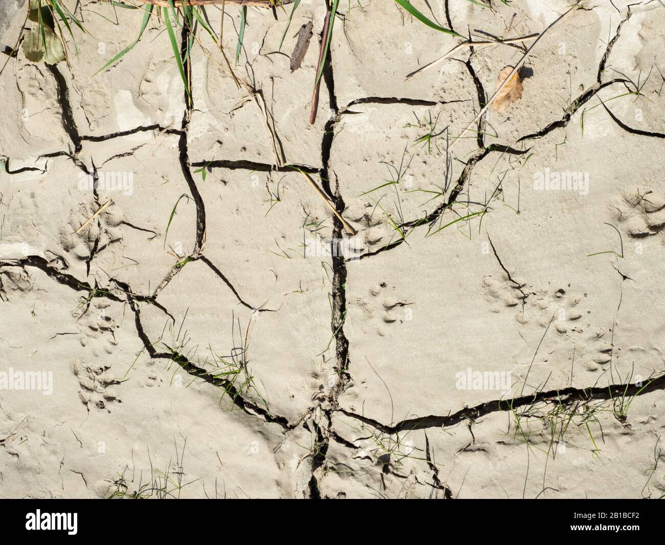 Full frame of a clay soil with grass Stock Photo - Alamy