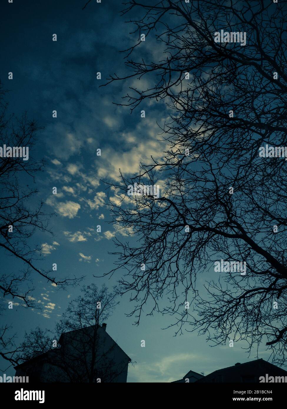 Sinister natural scene hi-res stock photography and images - Alamy