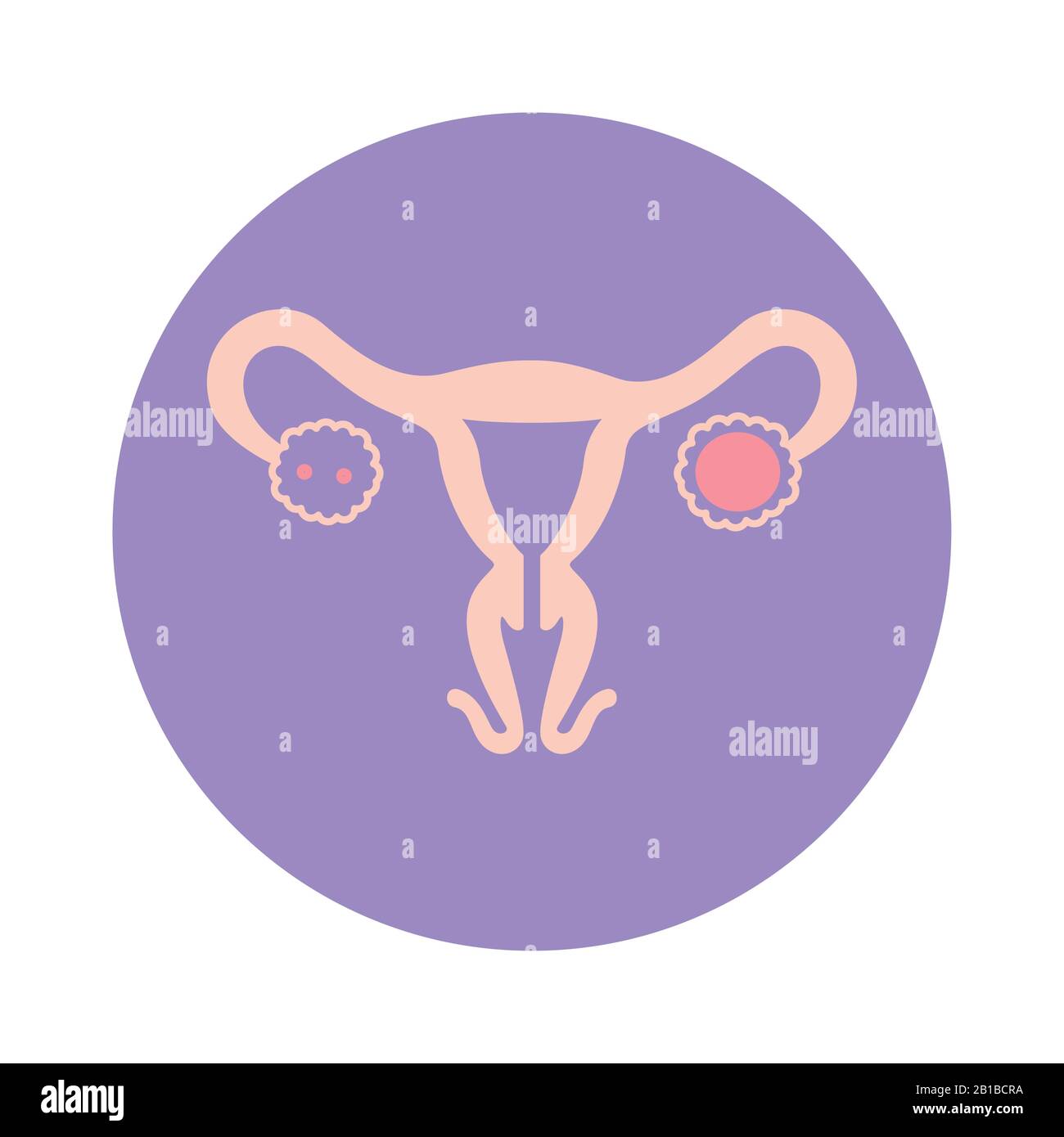 Isolated Female Reproductive System Icon Vector Design Stock Vector