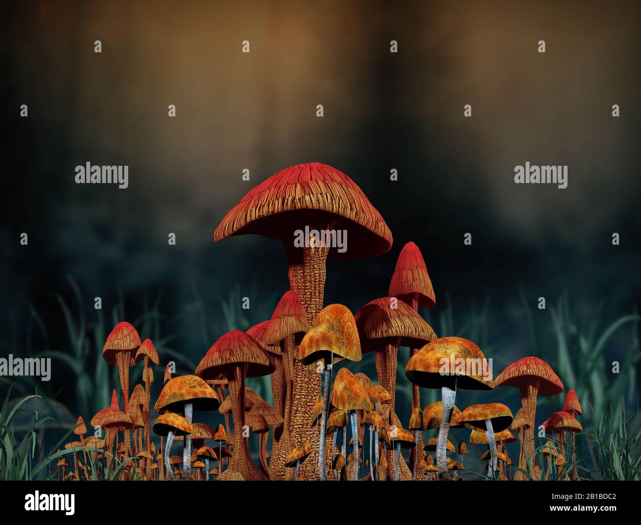 Enchanting grouping of toadstools, mushroom and fungi in a magical ...