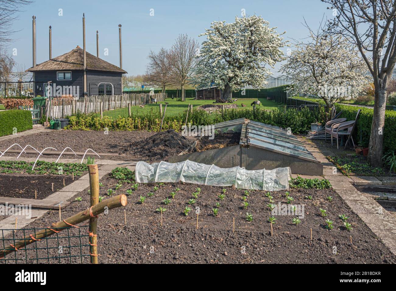 Zoo kitchen garden hi-res stock photography and images - Alamy