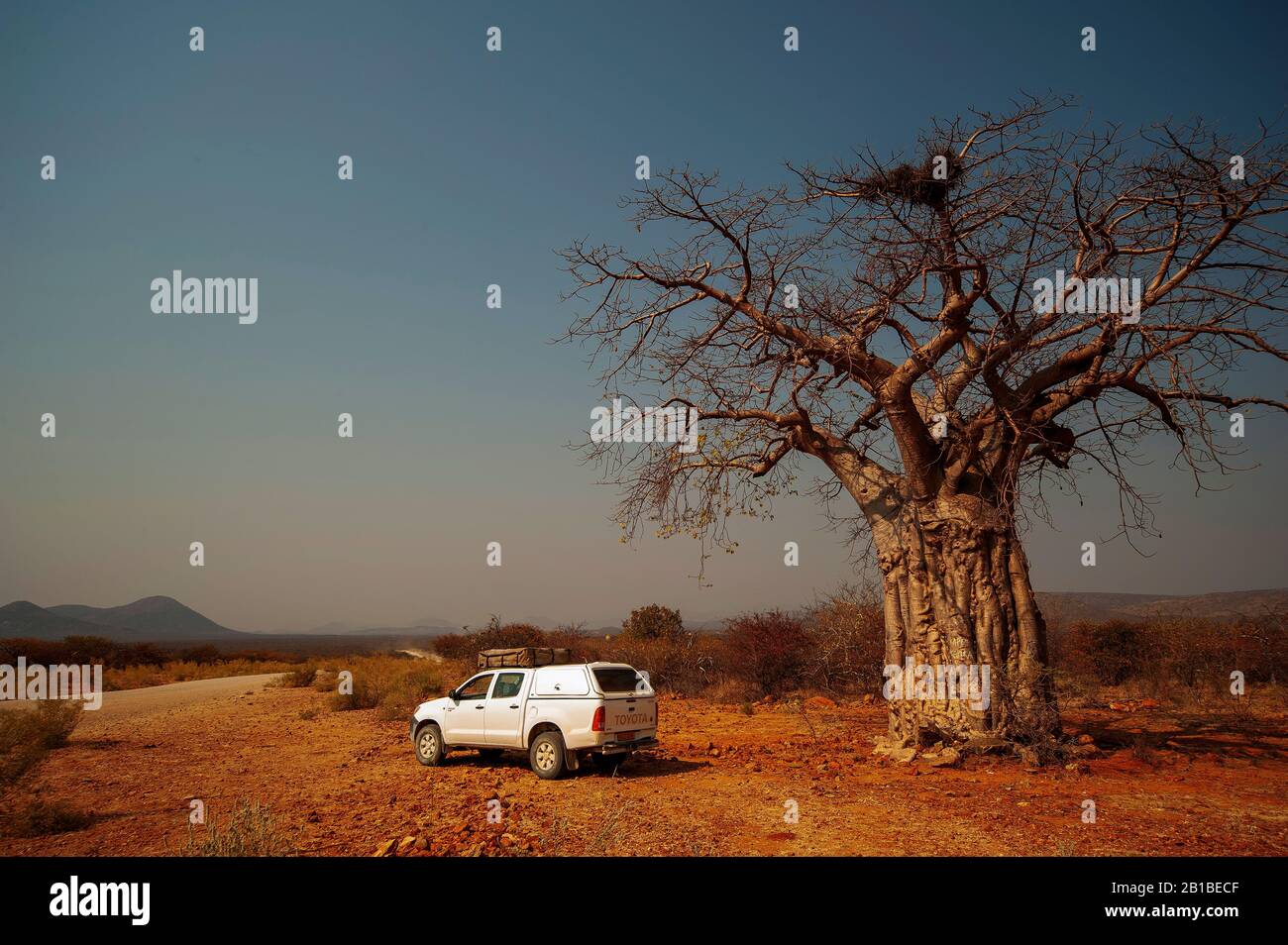 Baobab tree right by the road going to Eúpa Falls, Kunene Region ...
