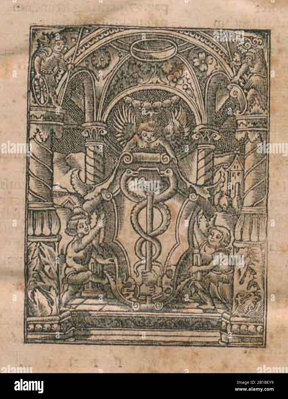 Froben hi-res stock photography and images - Alamy