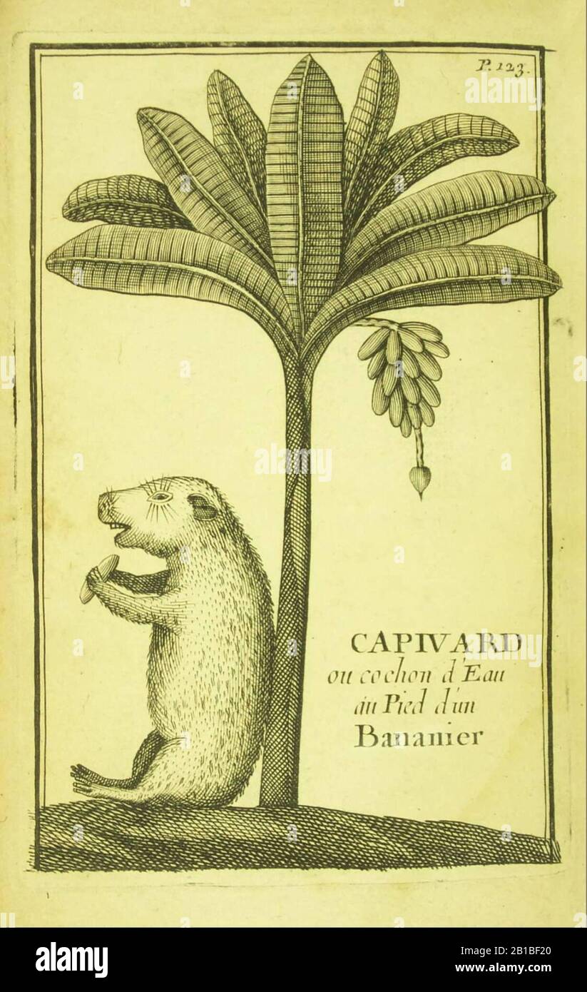 Froger hi-res stock photography and images - Alamy