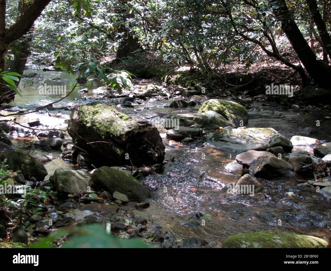 Frogtown hi-res stock photography and images - Alamy