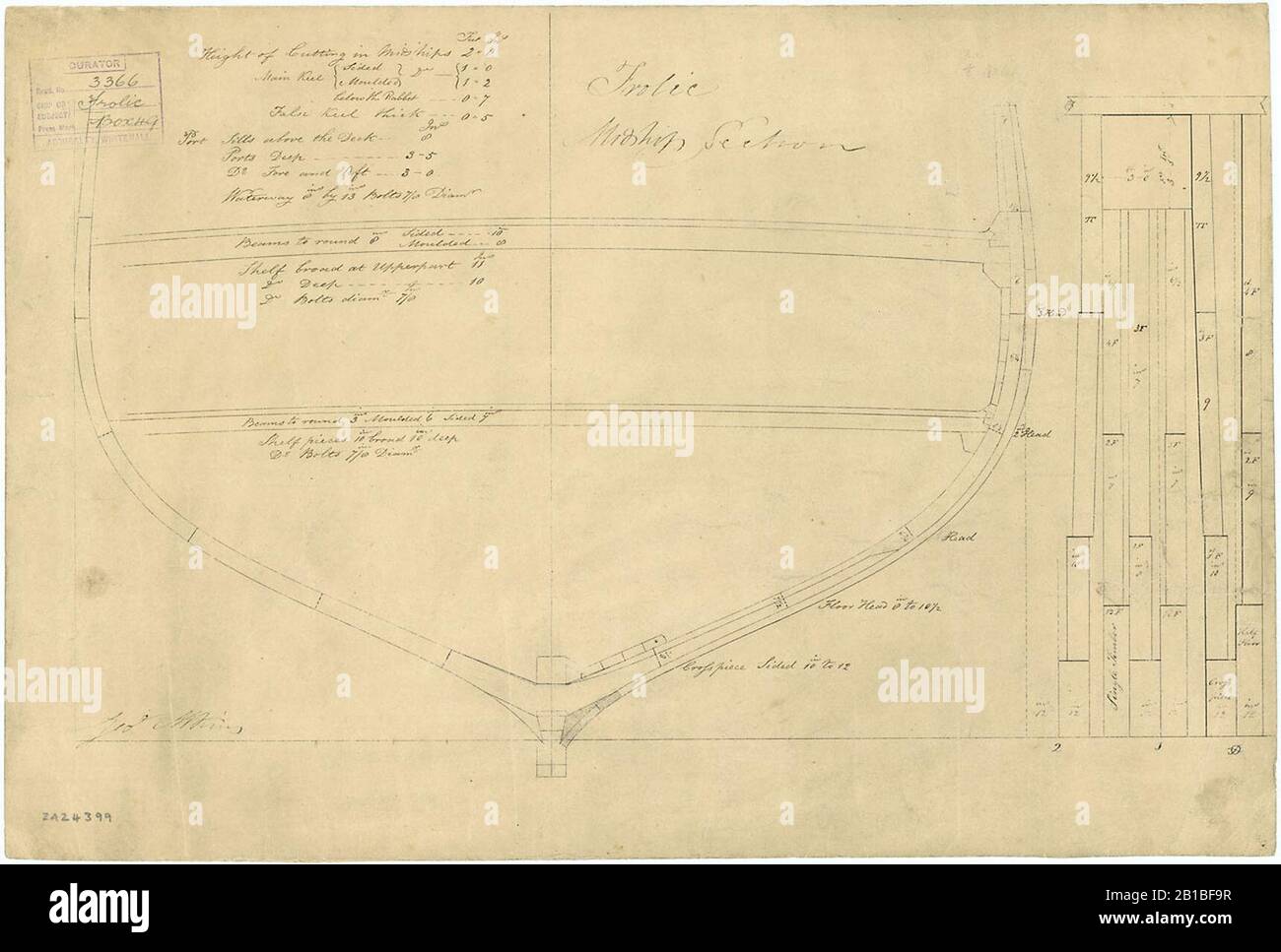 Frolic Cut Out Stock Images & Pictures - Alamy