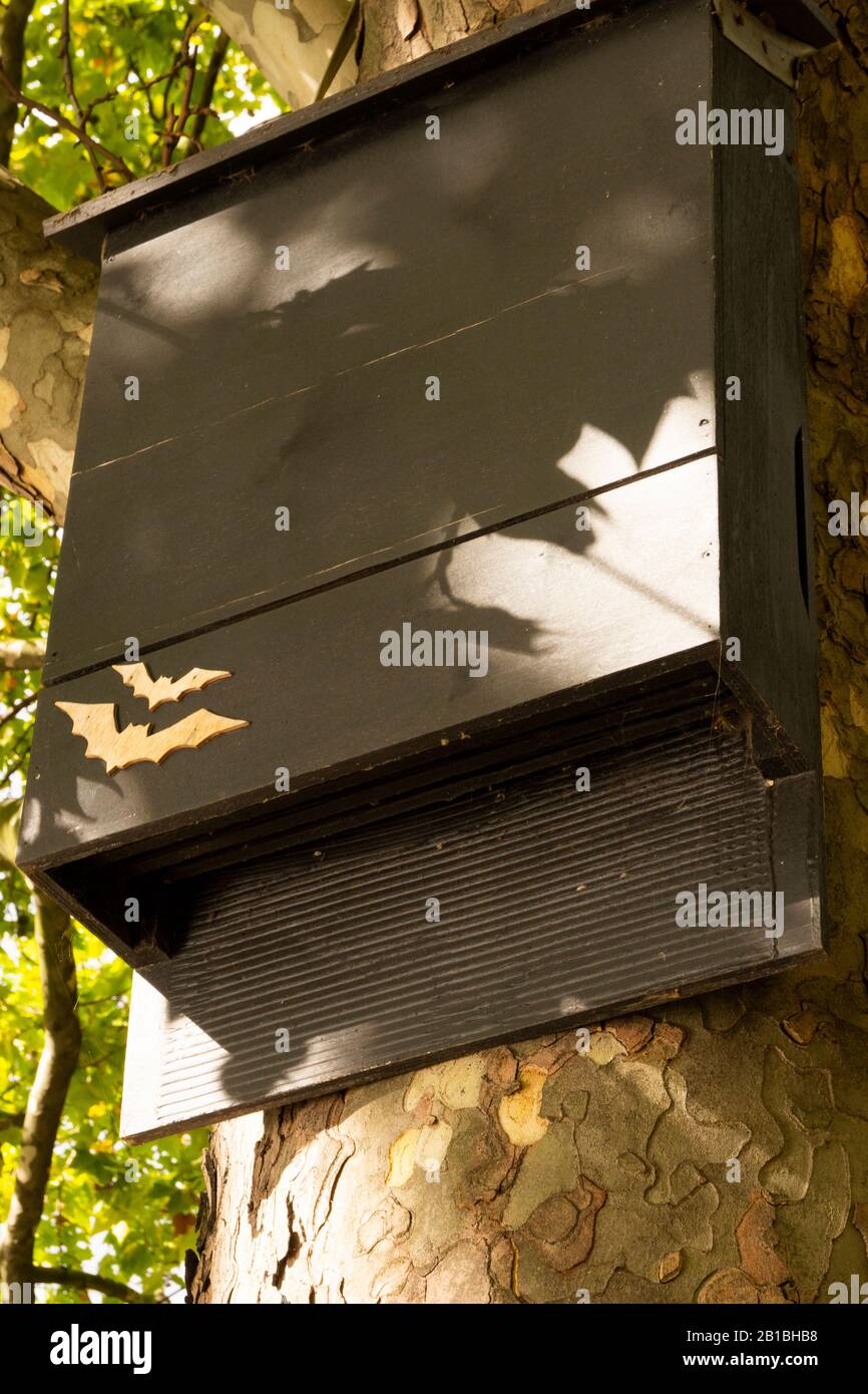 Bat box hanging in a tree along the Seine river Paris France Stock ...