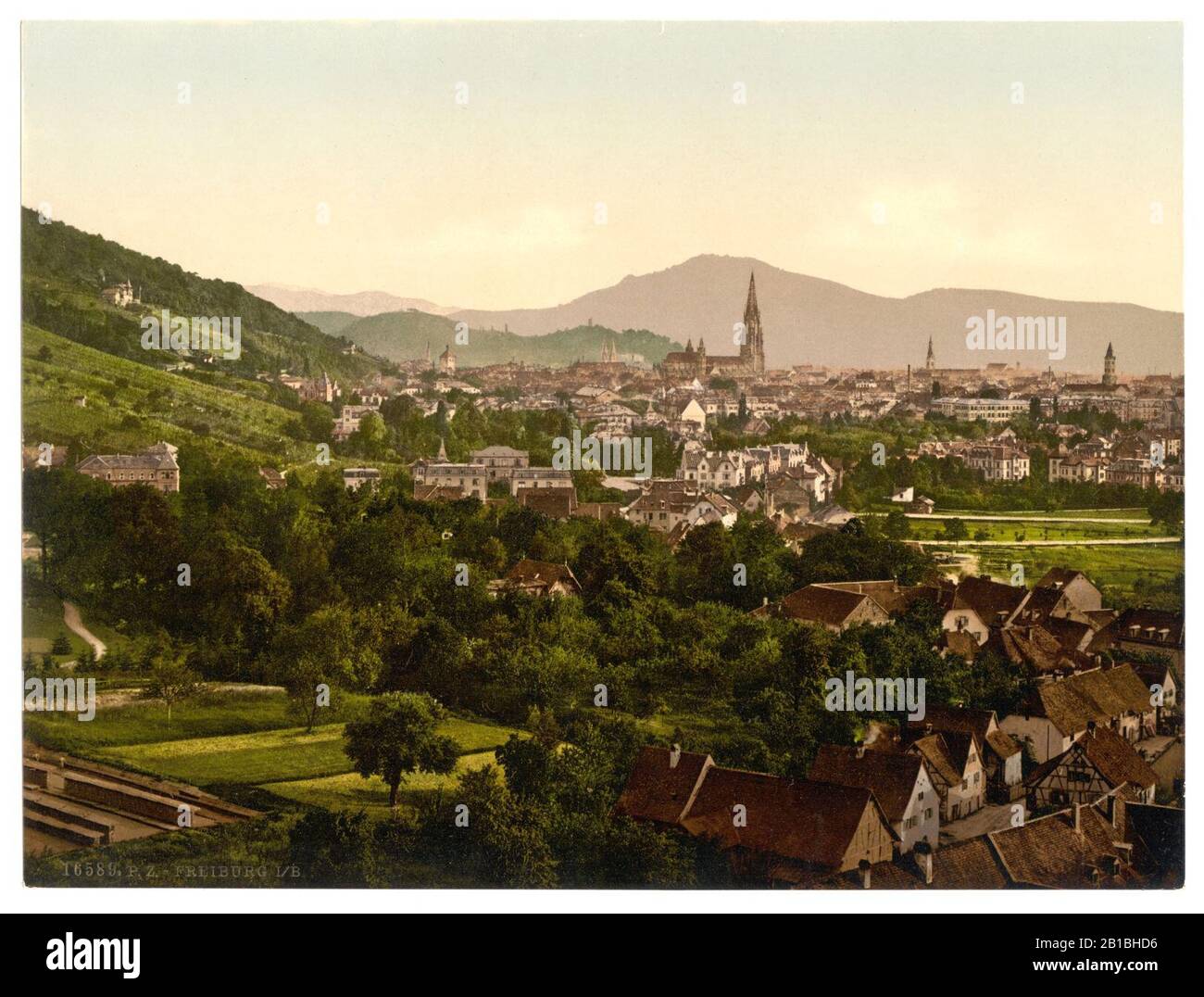 Sonnenberg Cut Out Stock Images & Pictures - Alamy