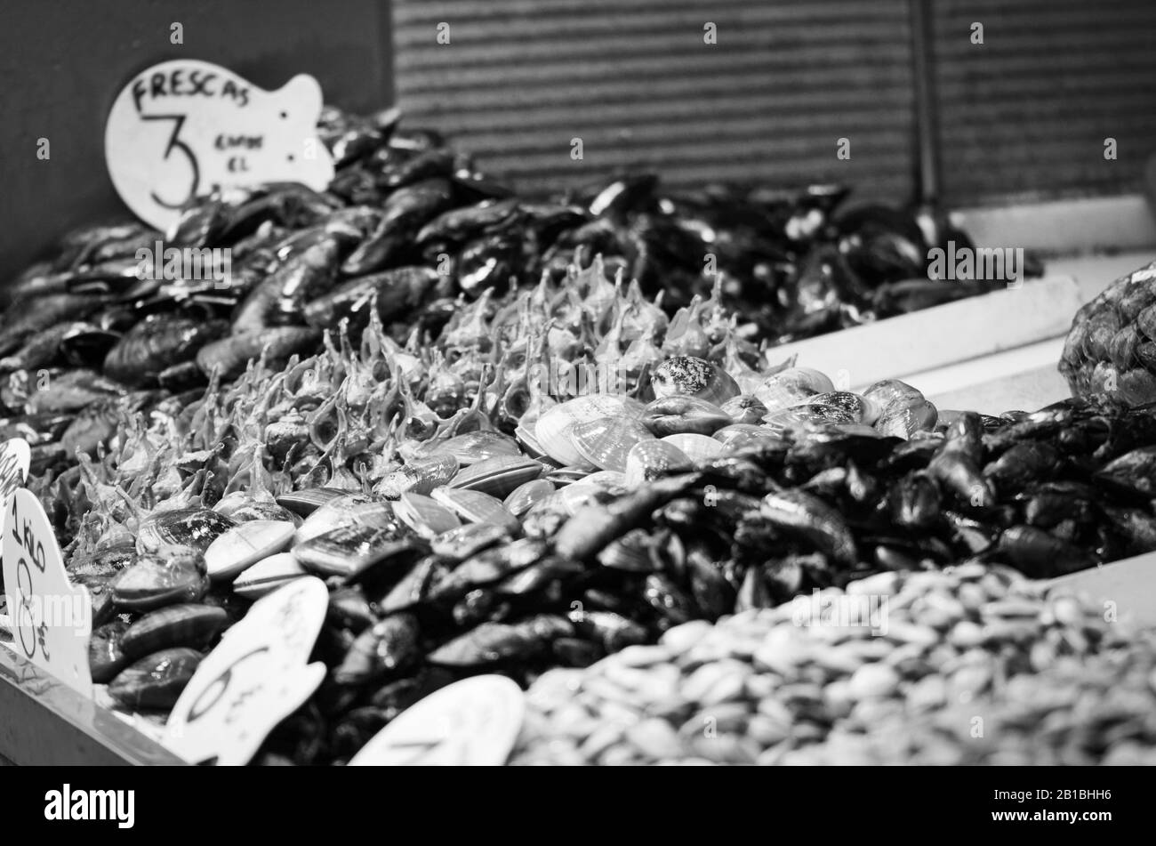 Fresh squid tentacles ice Black and White Stock Photos & Images - Alamy