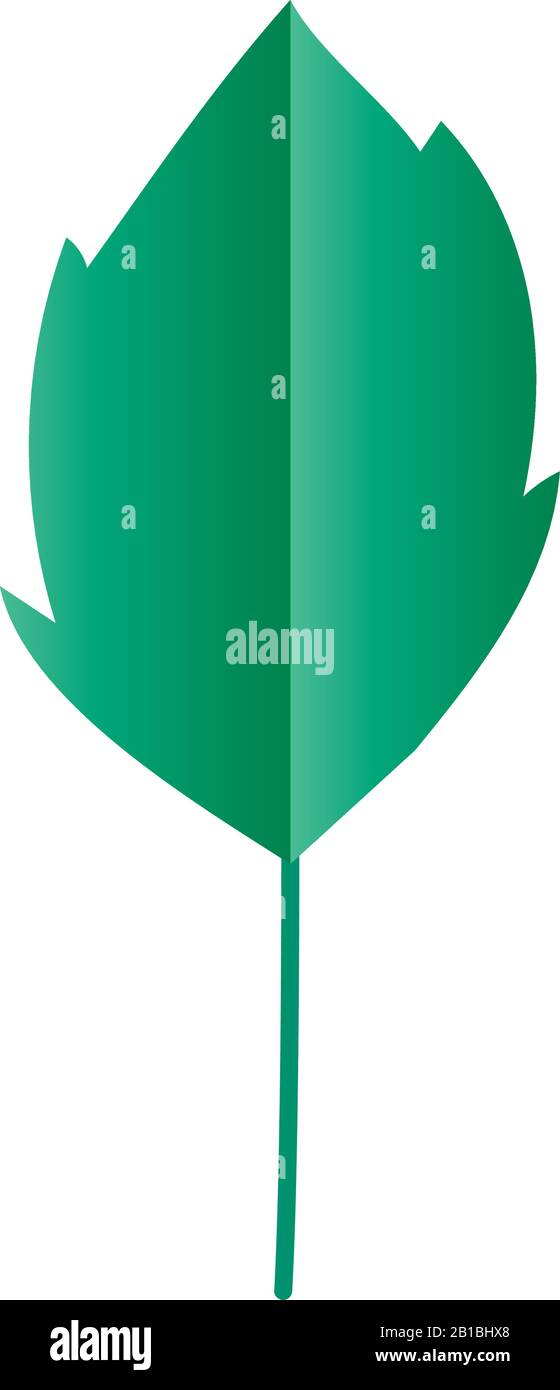 Isolated natural leaf vector design Stock Vector Image & Art - Alamy