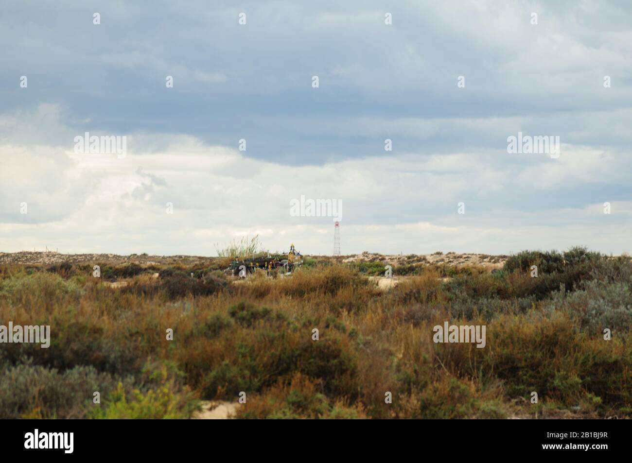 Wild plantation hi-res stock photography and images - Alamy