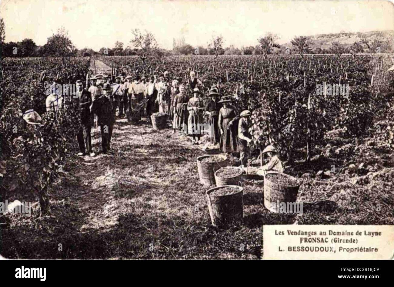 Layne hi-res stock photography and images - Alamy