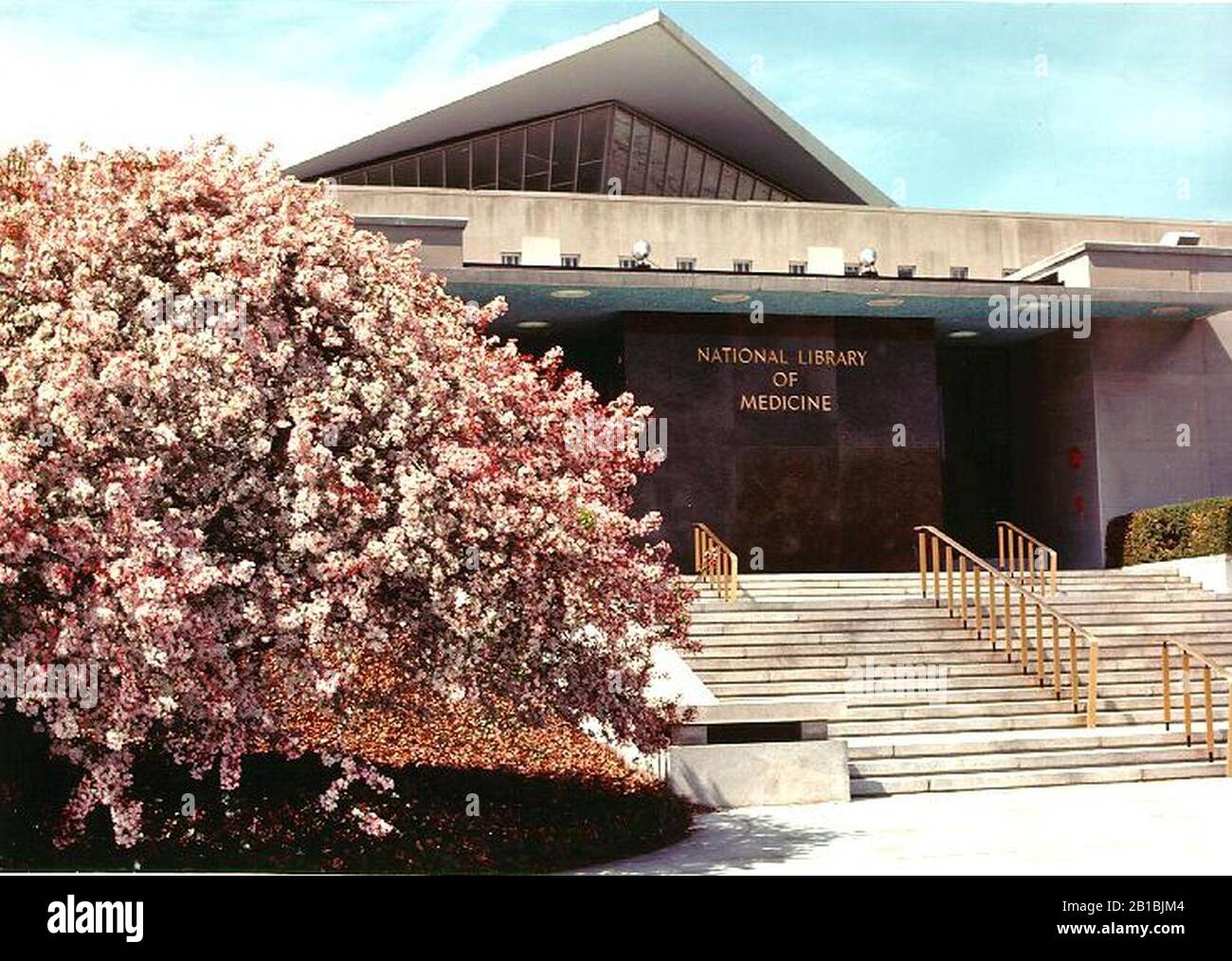 Front steps of Building 38 National Library of Medicine Stock Photo - Alamy