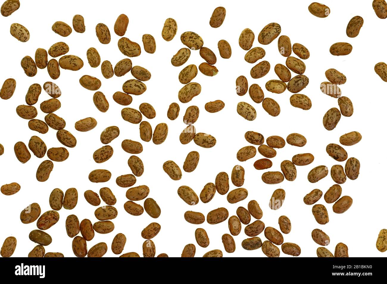 Raw brown beans isolated on white background Stock Photo - Alamy