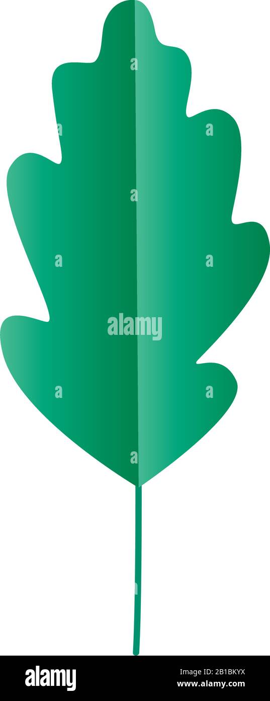 Isolated natural leaf vector design Stock Vector Image & Art - Alamy