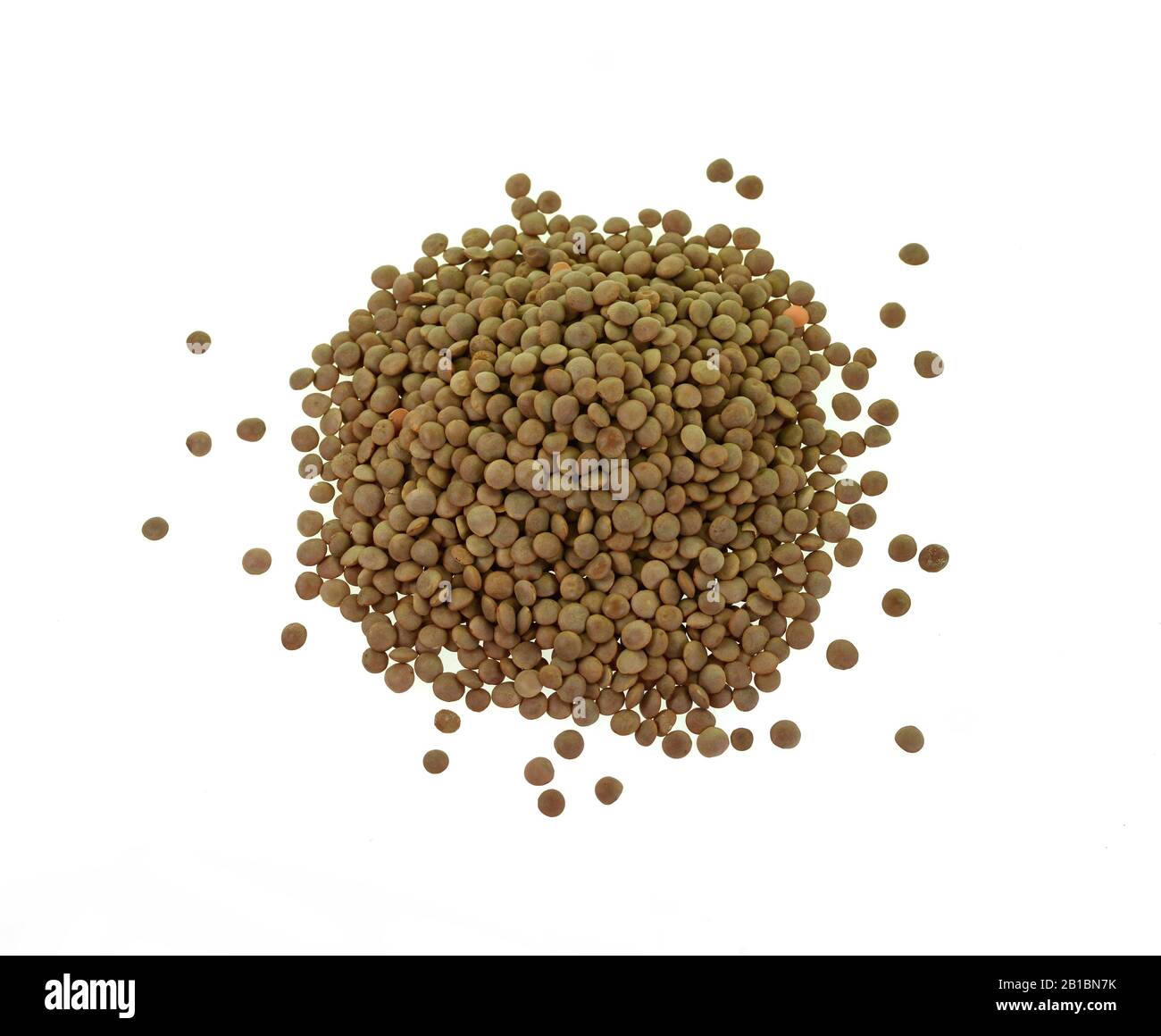 Raw Fresh organic lentils isolated on white background Stock Photo - Alamy
