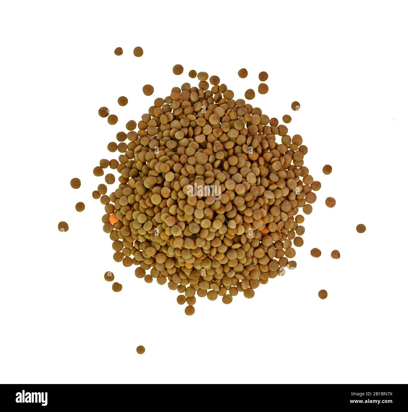 Raw Fresh organic lentils isolated on white background Stock Photo - Alamy