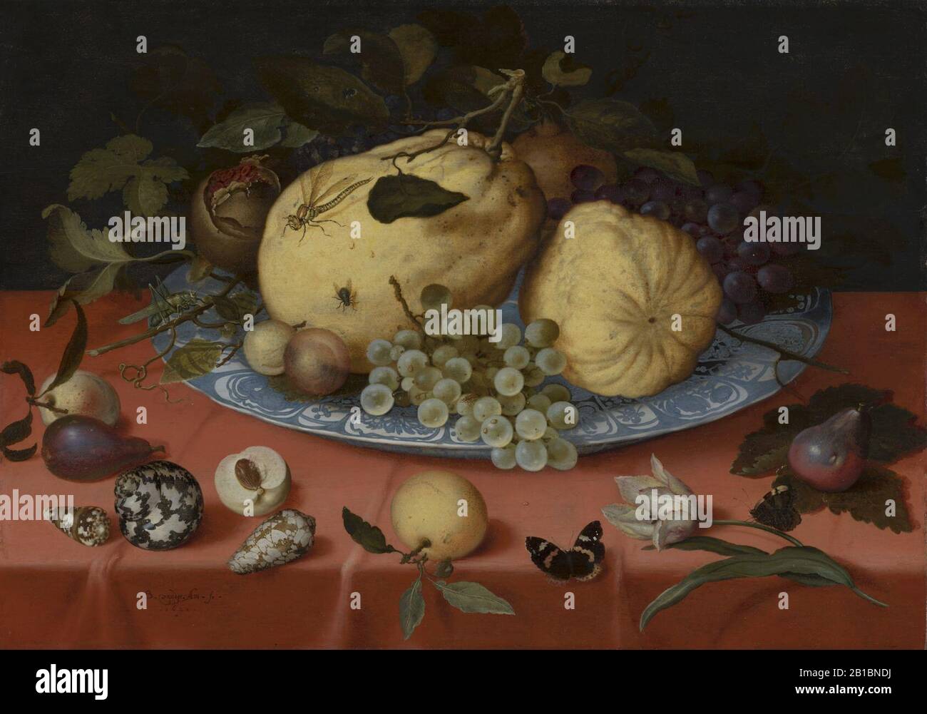 Fruit still life with shells Stock Photo - Alamy