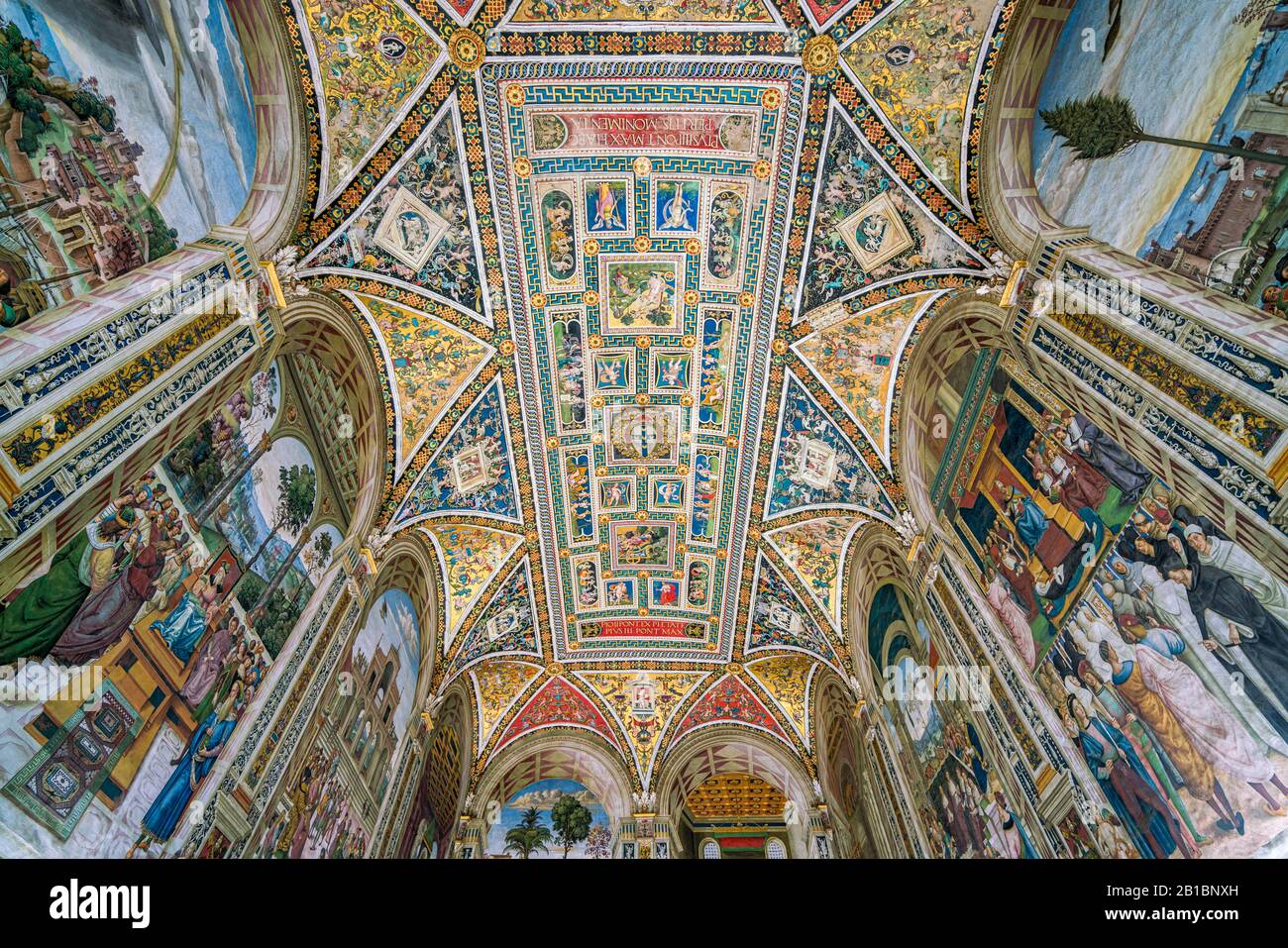 Piccolomini hi-res stock photography and images - Alamy
