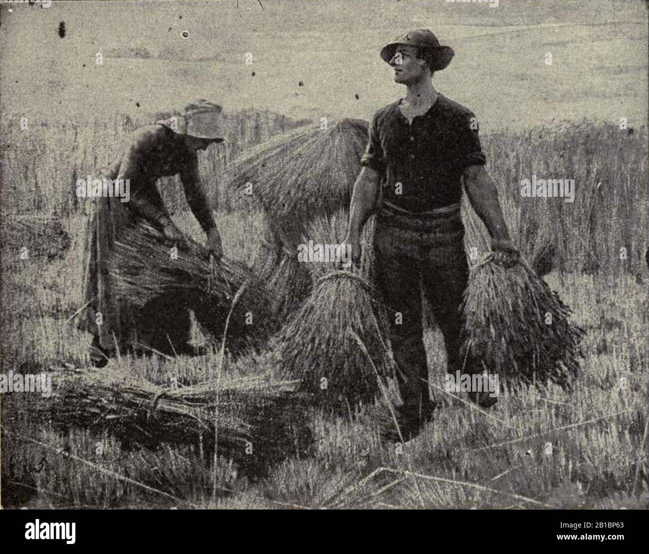 P 383 hi-res stock photography and images - Alamy