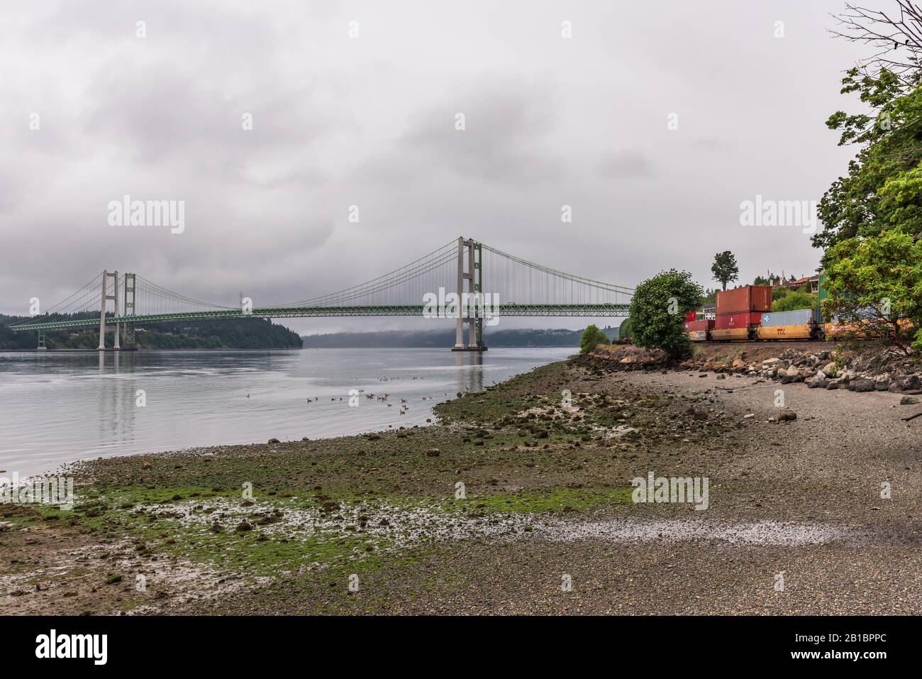 The Tacoma Narrows bridge is actually two suspension bridges over Puget ...