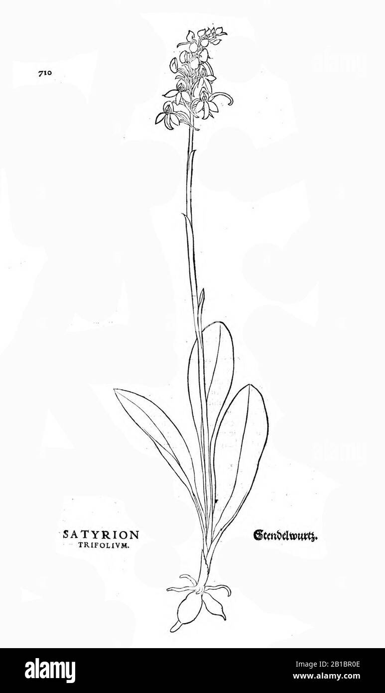 710 Black and White Stock Photos & Images - Alamy