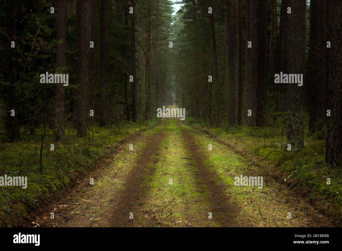 Wide mud road hi-res stock photography and images - Alamy