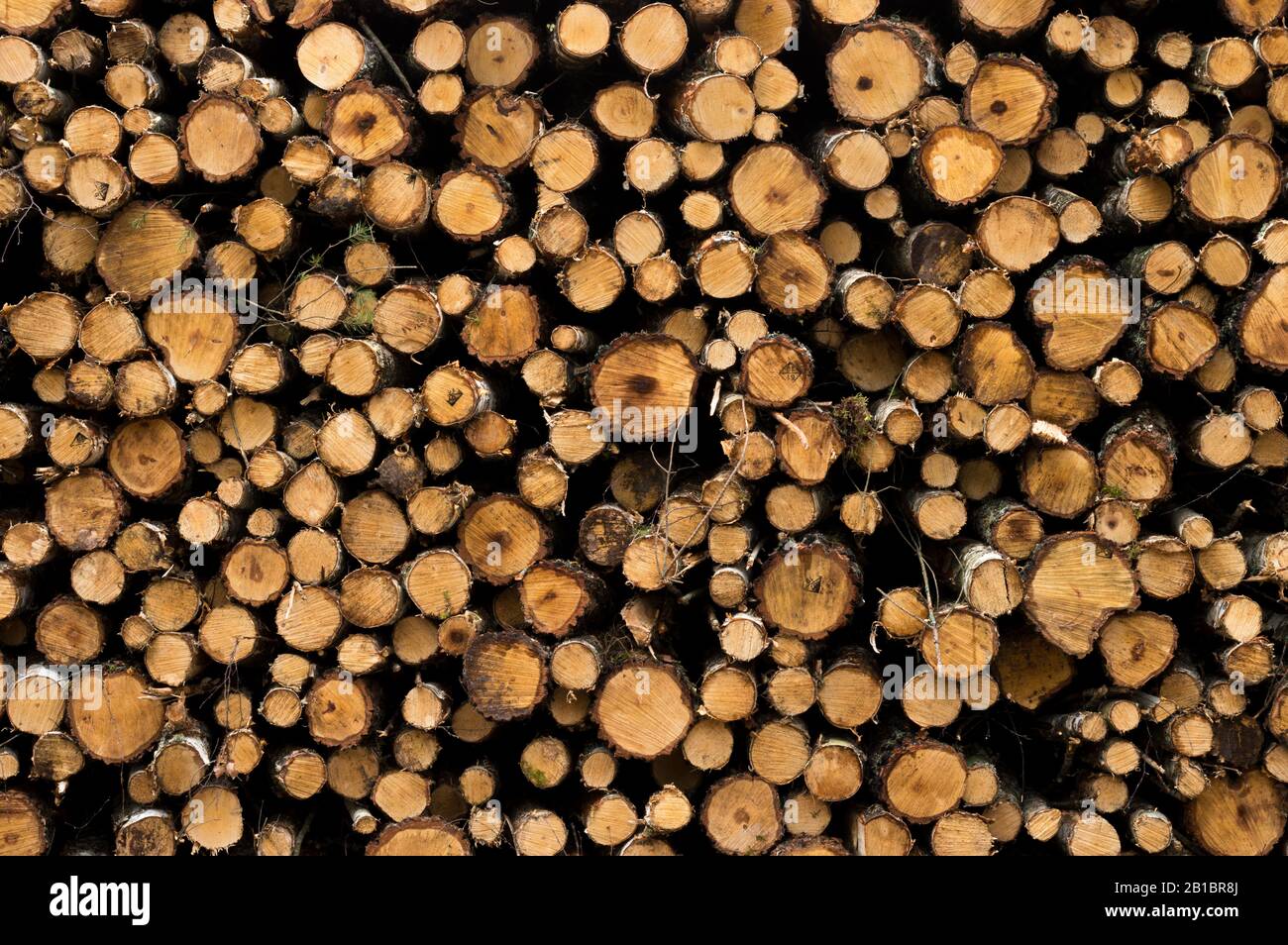 Clear pattern hi-res stock photography and images - Alamy