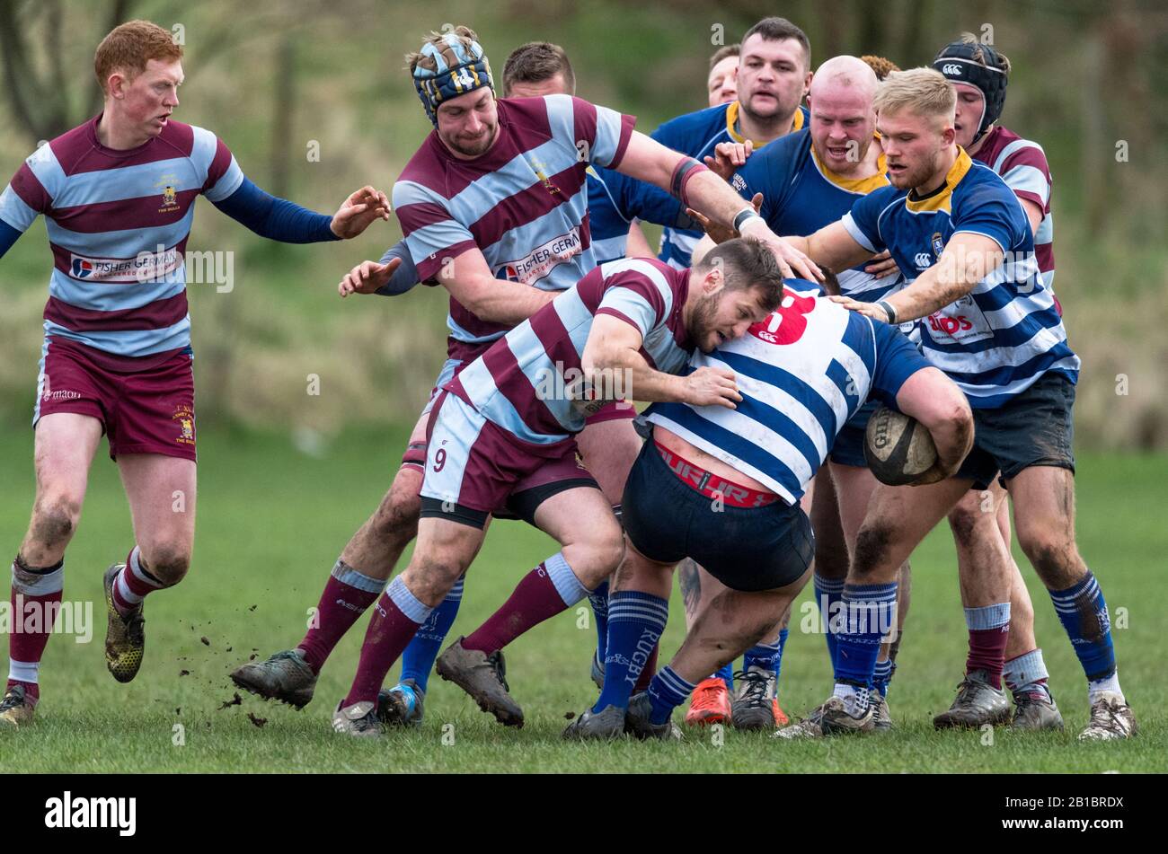 Rugby league players in hi-res stock photography and images - Alamy