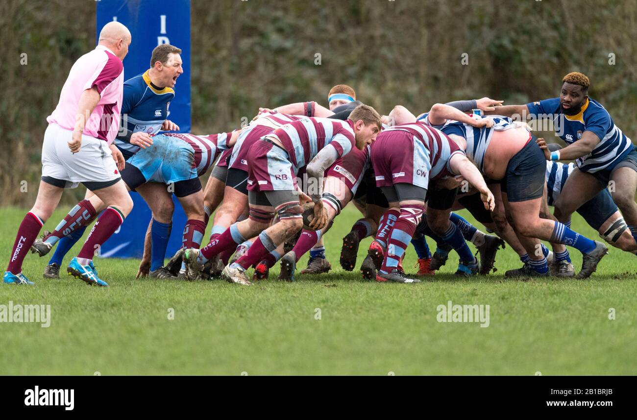 Rugby players in scrum hi-res stock photography and images - Alamy