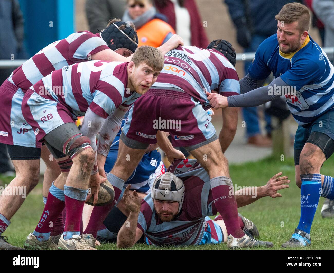 Rugby league players in hi-res stock photography and images - Alamy