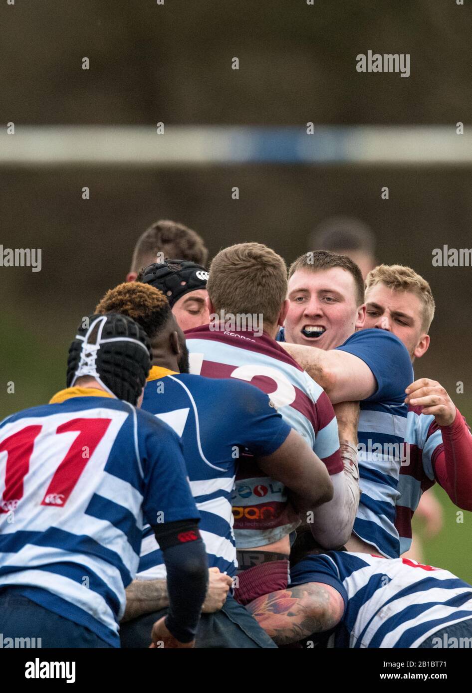 Rugby players in group hi-res stock photography and images - Alamy