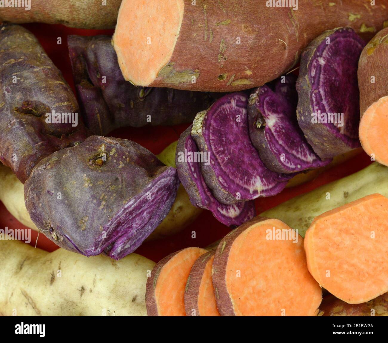 Sweet potatoes. Ipomoea batatas. Batata potato Stock Photo - Alamy