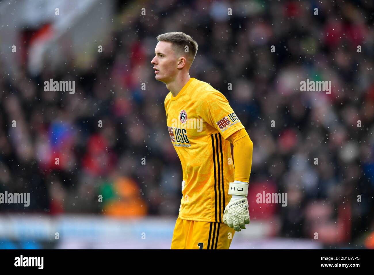 22nd February 2020, Bramall Lane, Sheffield, England; Premier League ...