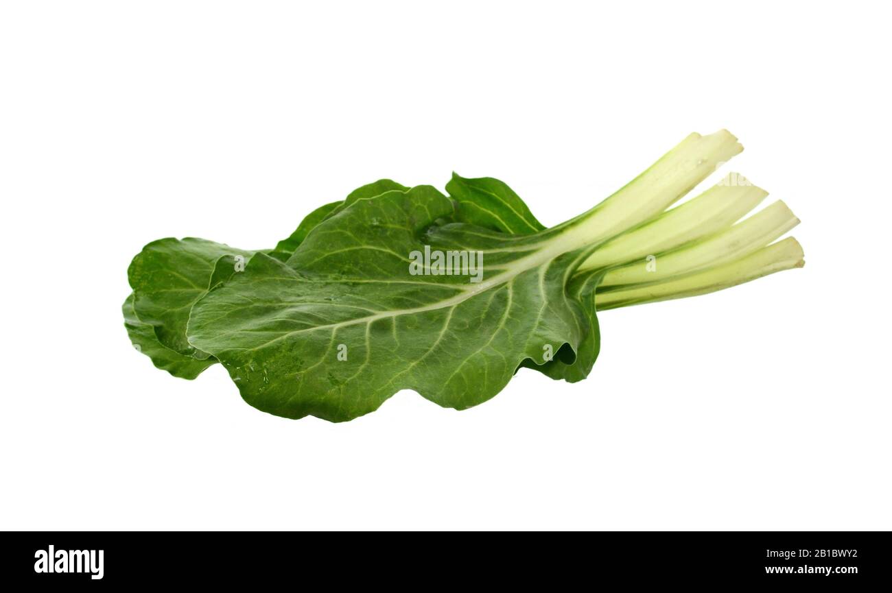 Fresh organic chard isolated on white. Chard (Beta vulgaris subsp ...