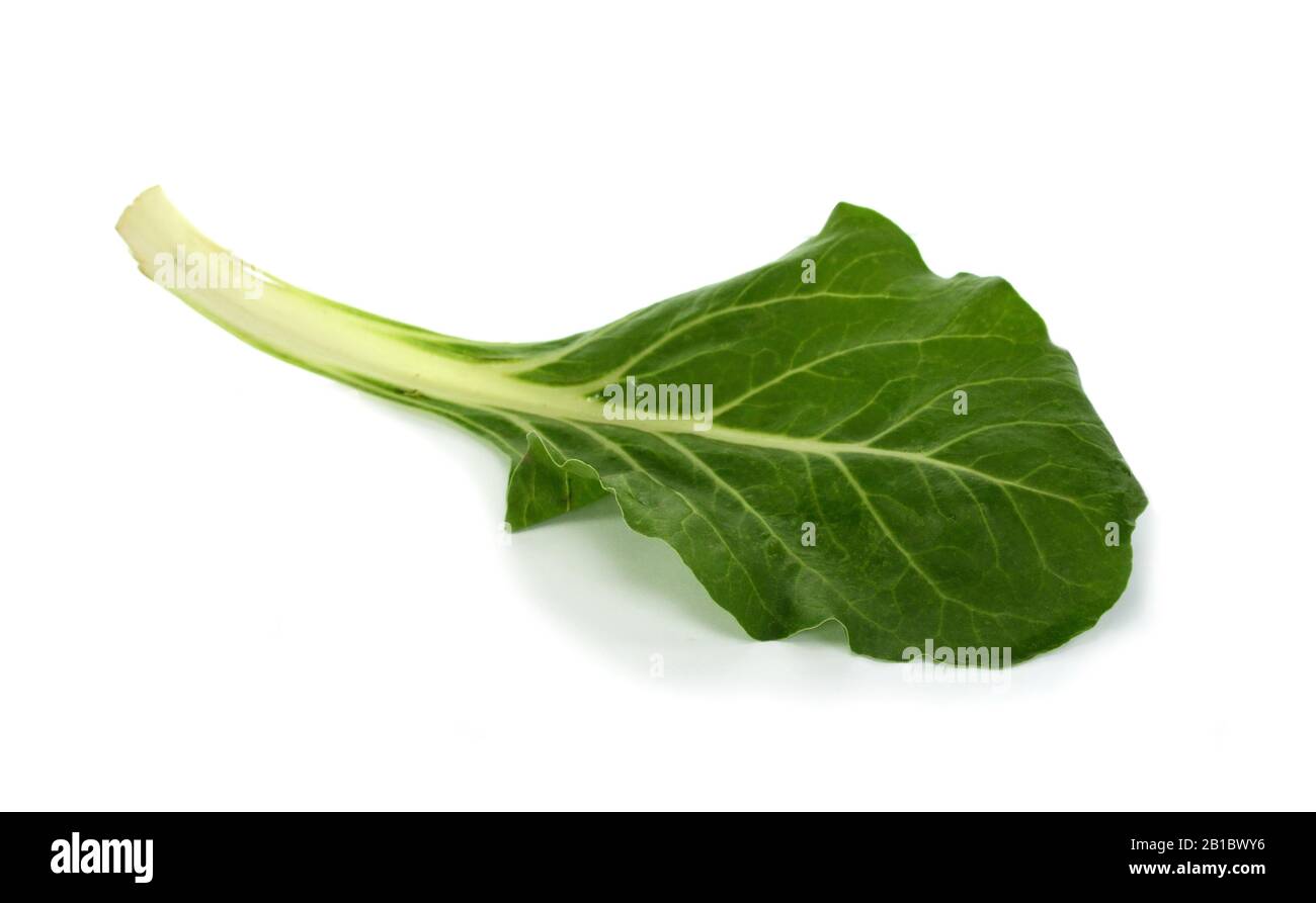 Fresh organic chard isolated on white. Chard (Beta vulgaris subsp ...