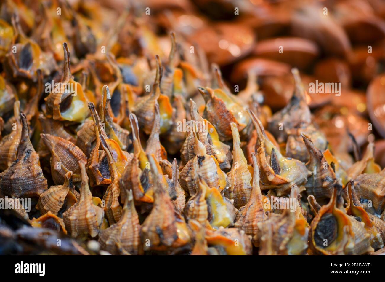 fresh mix seafood within the fish market - octopus, shells, oysters ...