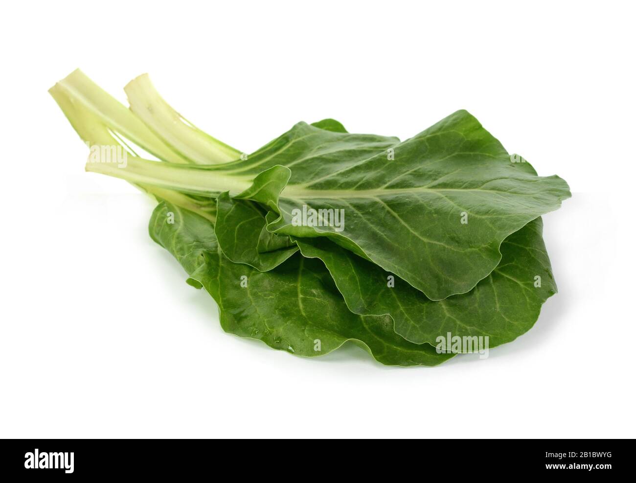 Fresh organic chard isolated on white. Chard (Beta vulgaris subsp ...