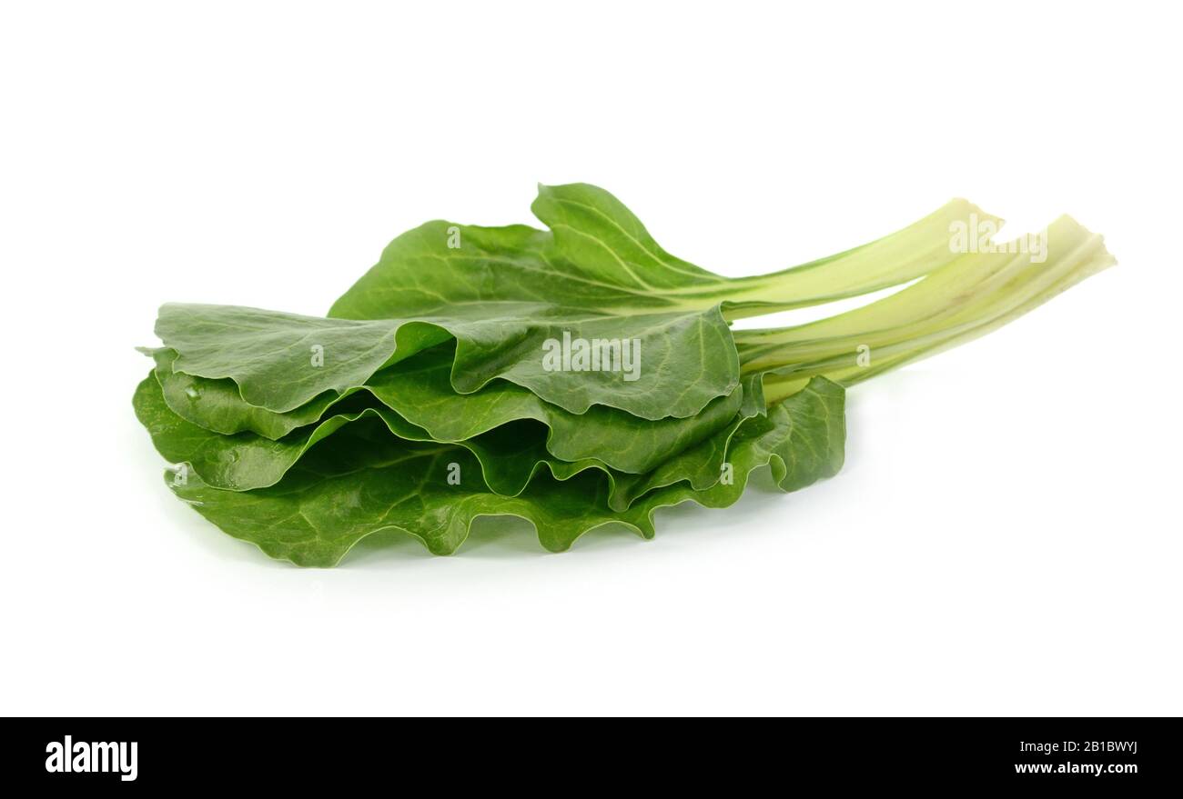 Fresh organic chard isolated on white. Chard (Beta vulgaris subsp ...
