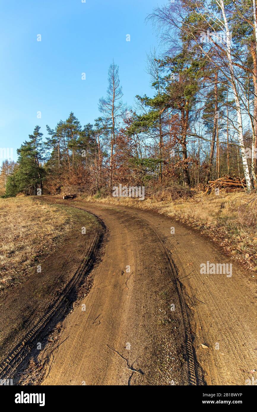 Dusty dirt road in the woods. Forest edge. Blue sky with clouds ...