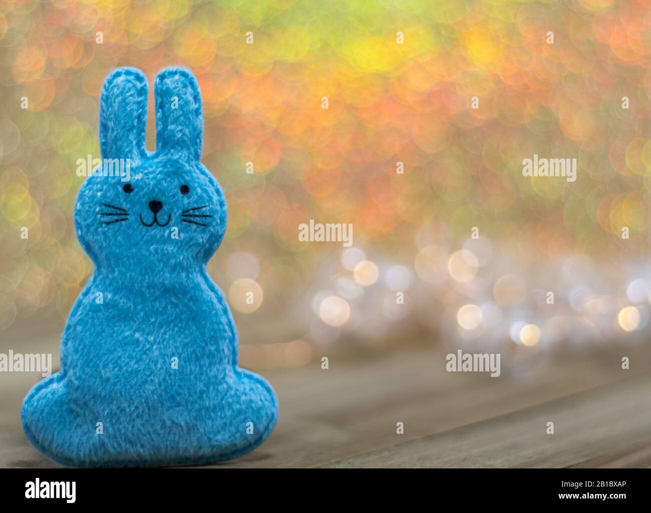 Blue bunny hi-res stock photography and images - Alamy