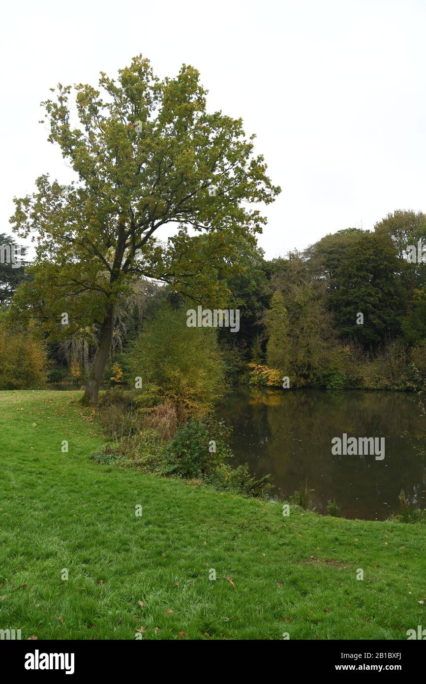 Keele grounds hi-res stock photography and images - Alamy