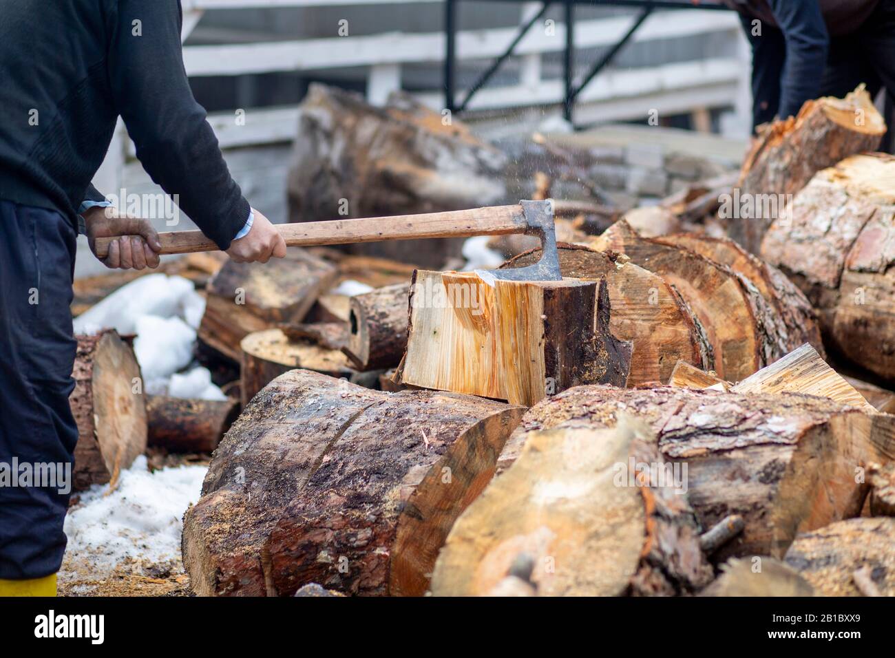Cutting down trees with ax hi-res stock photography and images - Alamy
